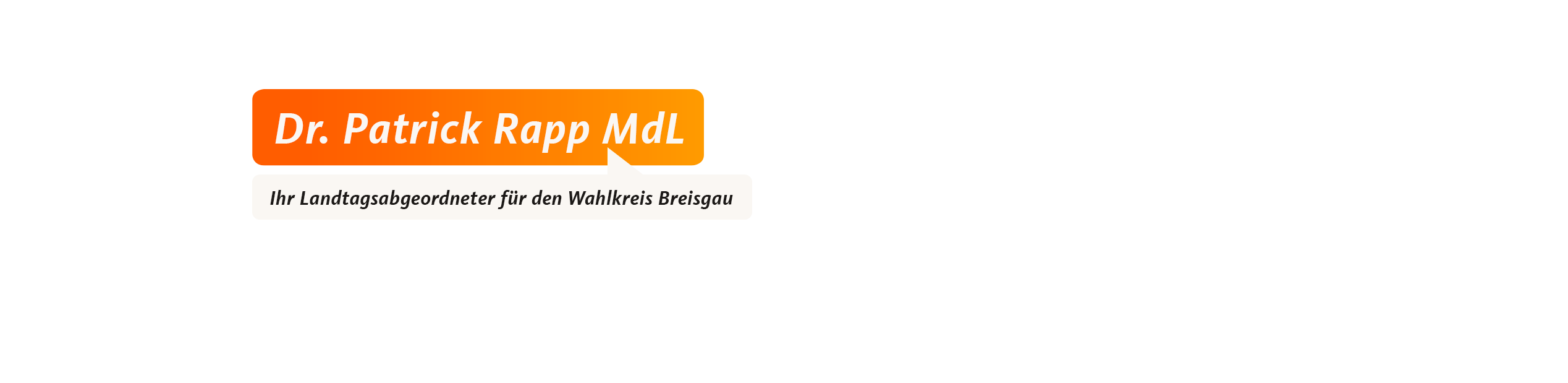 Dr. Patrick Rapp MdL | Landtagsabgeordneter Wahlkreis Breisgau