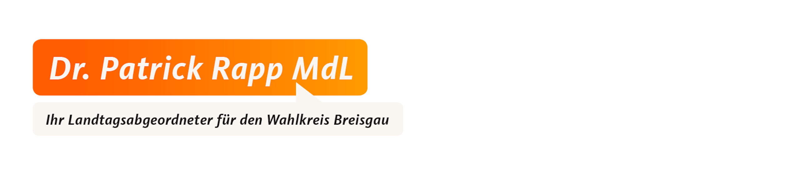 Dr. Patrick Rapp MdL | Landtagsabgeordneter Wahlkreis Breisgau