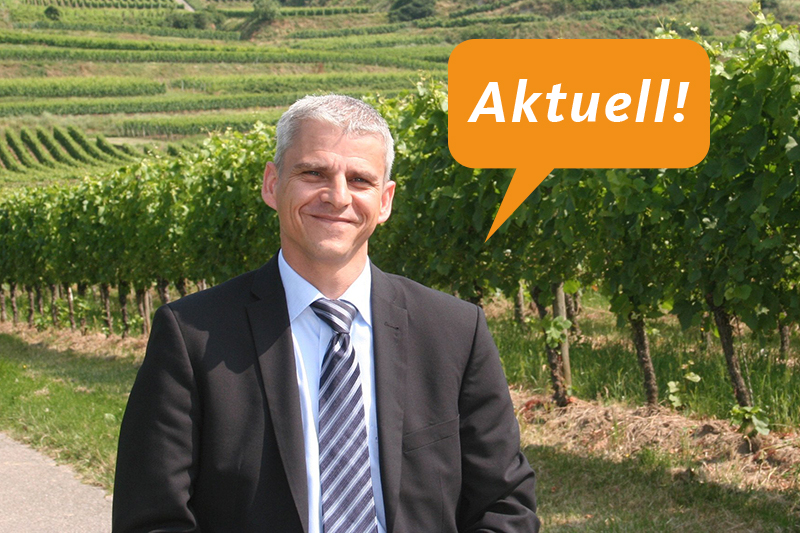 Dr. Patrick Rapp MdL | Landtagsabgeordneter Wahlkreis Breisgau